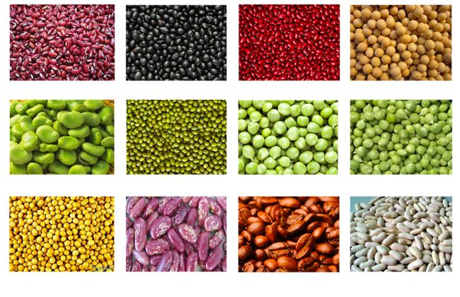bean color sorting cases