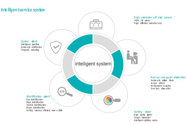 intelligent system