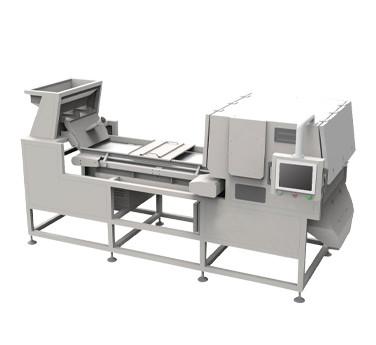 Cina Sistema di illuminazione di alta luminosità LED di Mini Conveyor Belt Color Sorter in vendita