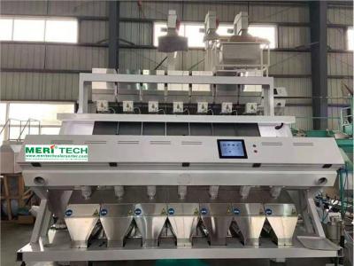 Cina selezionatore ottico di colore 14t/h, CCD di alta risoluzione del vaglio del seme 4.8kw in vendita