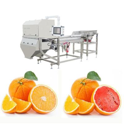 Cina Le verdure fruttificano ordinando la macchina arancio del selezionatore dell'attrezzatura 3kw in vendita