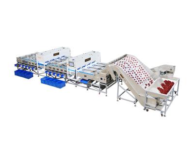 China Máquina dobro inteligente 9.5KW do classificador da cor da seleção para Grey Jujube à venda