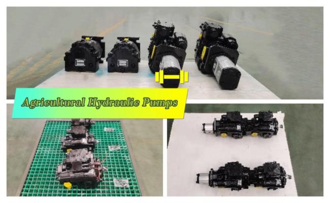 Variable Displacement Pumps