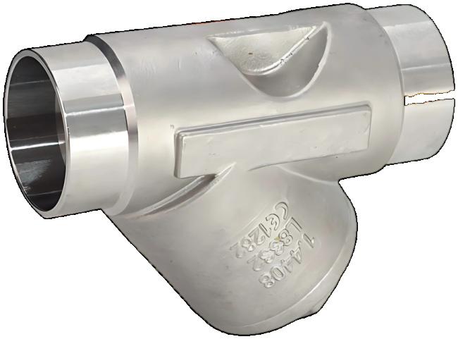 Y Strainer