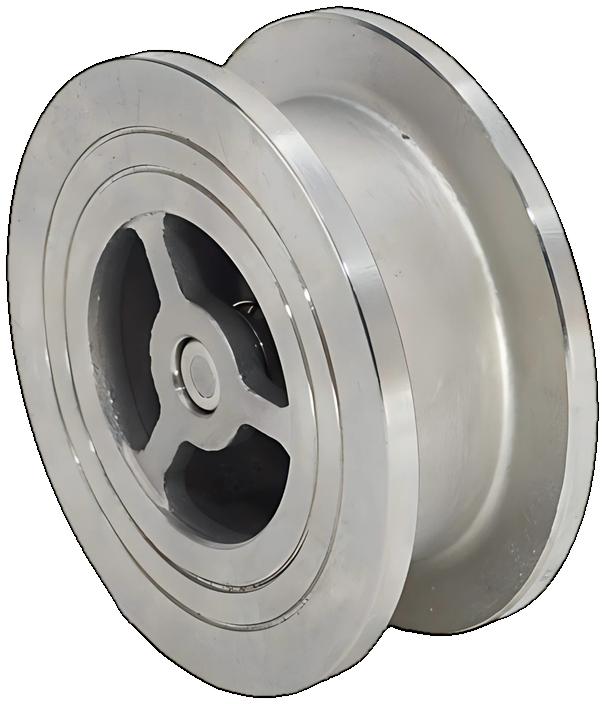 Check Valve