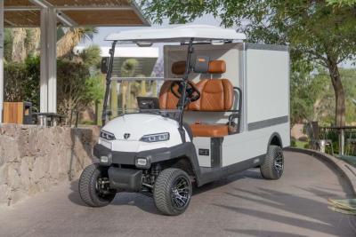 China 3.5KW 110V~240V Rechargeable LSV Golf Cart for Hotel Baggage Handling for sale