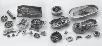 Cina Industria OEM/ODM Customized Metal Die Casting and Forging con tolleranza 0.05mm in vendita