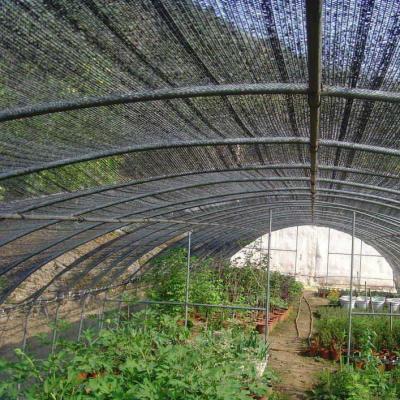 China Heavy Duty Customized Wind Protection Net Wind Netting Shade Net Polyester Cloth Sunshade Sail en venta