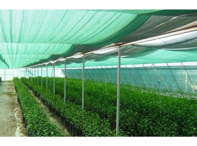 China Red de la sombra de la cinta, red de la sombra de la planta de la cinta en venta
