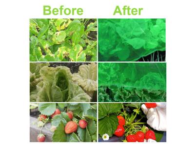 Китай Anti-Bugs Protective Garden Netting продается