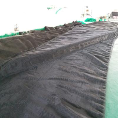 China Mono Date Palm Mesh Bag for date cover against the insect and birds. for sale