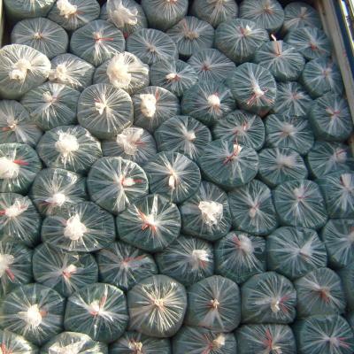 China red de la sombra del paño de la sombra del jardín en venta