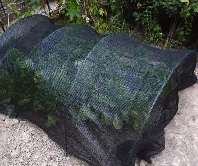 China Paño de la sombra - tela de la sombra - rollo, yarda linear - aduana en venta