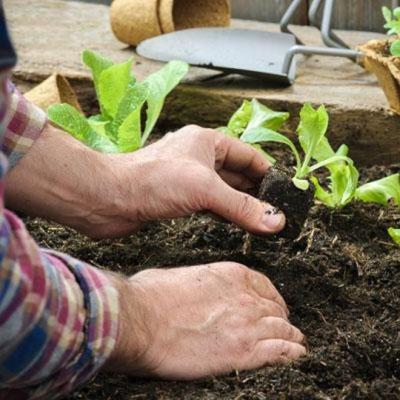 China weed barrier Control Blanket, 4' ft. x 112.5' ft. for sale