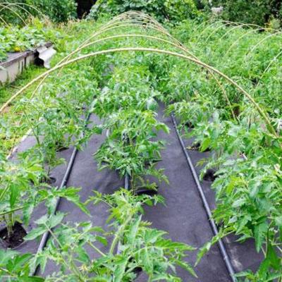 China weed barrier Control Blanket, 4' ft. x 112.5' ft. for sale