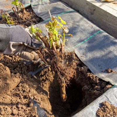 China weed barrier Control Blanket, 4' ft. x 112.5' ft. for sale