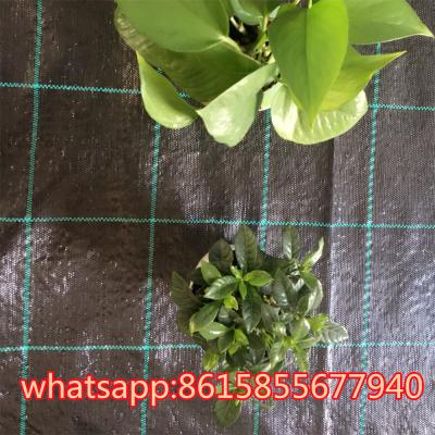 China 2022 new products  weed barrier for sale