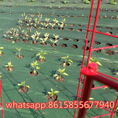 China 2022 new products  weed barrier for sale