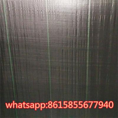 China PP Weed Barrier Fabric to Amazon for sale
