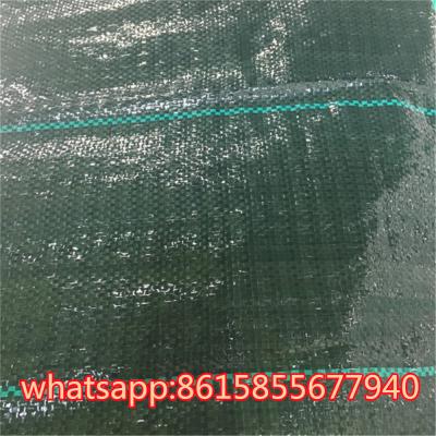 China PP Weed Barrier Fabric to Amazon for sale