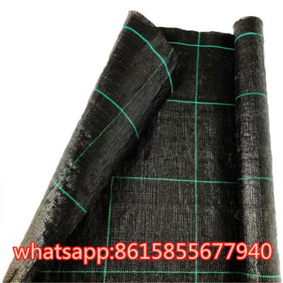 China PP Weed Barrier Fabric to Amazon for sale