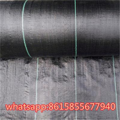 China PP Weed Barrier Fabric to Amazon for sale