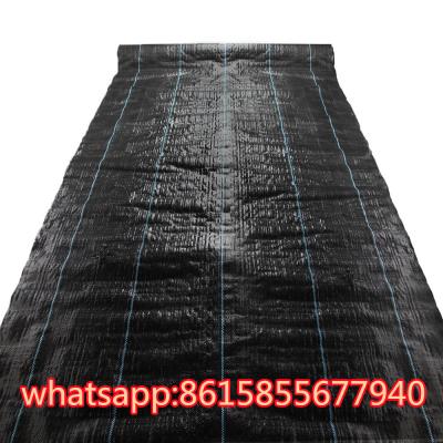 China PP Weed Barrier Fabric to Amazon for sale
