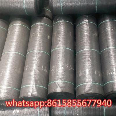 China PP Weed Barrier Fabric to Amazon for sale