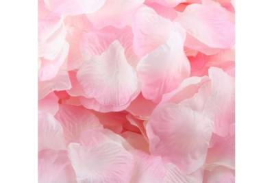 China pétalas cor-de-rosa da tela cor-de-rosa à venda