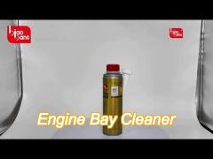 Safe Fuel System Cleaner 300ml High Efficiency For Gasoline Engines