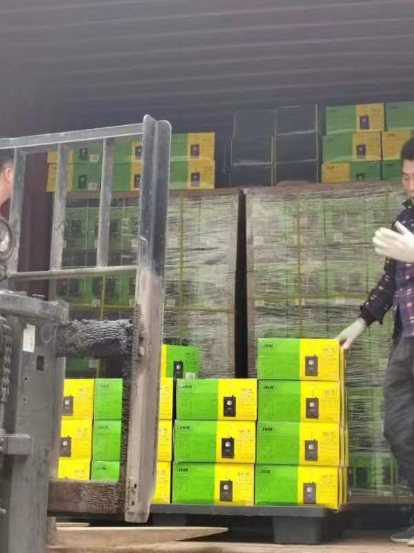 Dual Mode Evap System With CE European Standar CSD-201 Automotive Smoke Machine Leak Detector 1