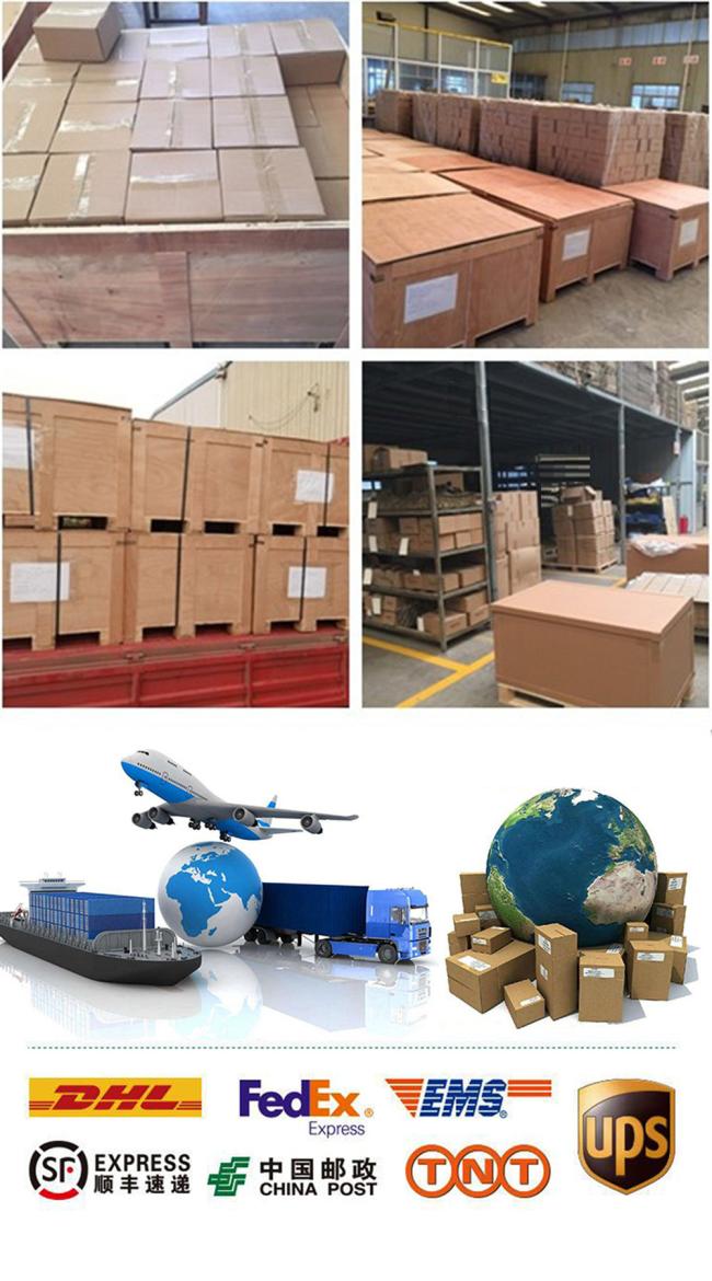 OEM Custom Double U Shape Feed Horizontal Transmission System Auger Screw Conveyor