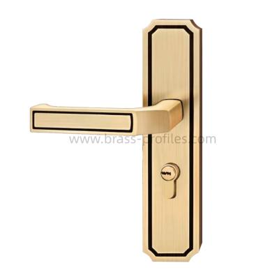 China 220mm x 50mm Copper lock copper plate door lock interior brass handle lock for sale