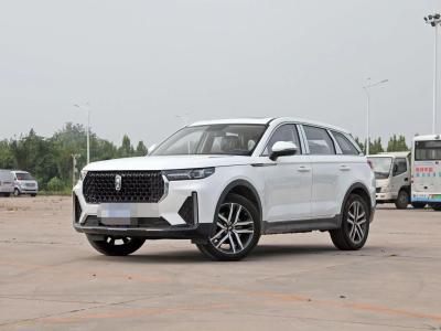 편안한 베스툰 T99 2022 2.0TD 자동차는 5 석 SUV 큰 휘발유 8을 개작합니다