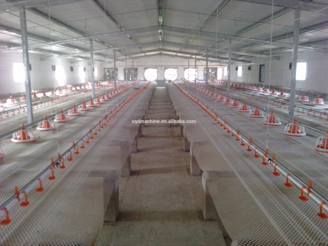 Automatic broiler layer bucket manual poultry feeder for chicken turbo bucket day old baby chick bucket
