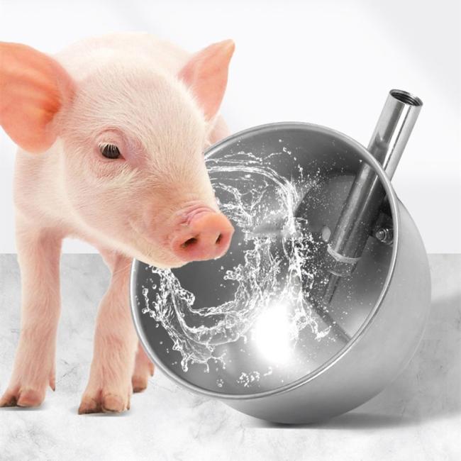 SS201 SS304 SS303 Stainless Steel Pig copper Automatic Swine Drinking Waterer Drinker Nipple