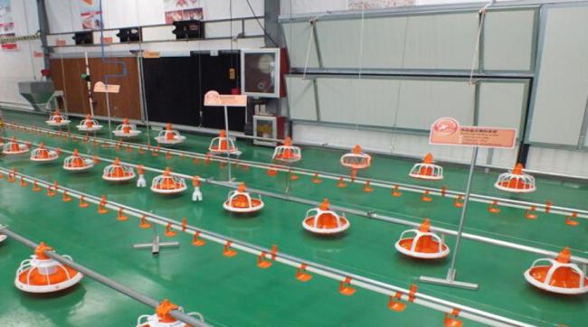 Poultry chicken nipple drinking system for broiler farm Automatic watering system China manufacture price