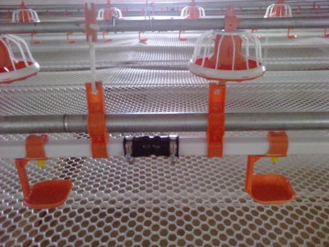 Poultry chicken nipple drinking system for broiler farm Automatic watering system China manufacture price