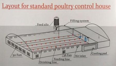 Automatic poultry watering water system for chicken broilers layers quail farm