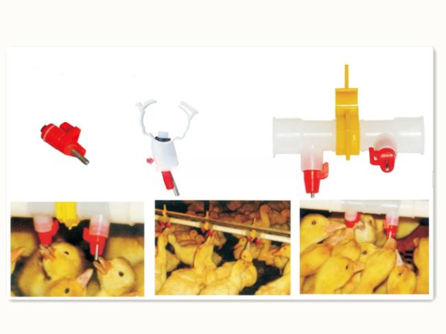 Geese ducks drinking water watering system drinkers Nipple Waterer for bird poultry breeding farming