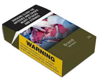 Cina Scatola di carta stampata abitudine di LFGB, rotolo in bianco della scatola di CDR sigaretta di CMYK pre in vendita