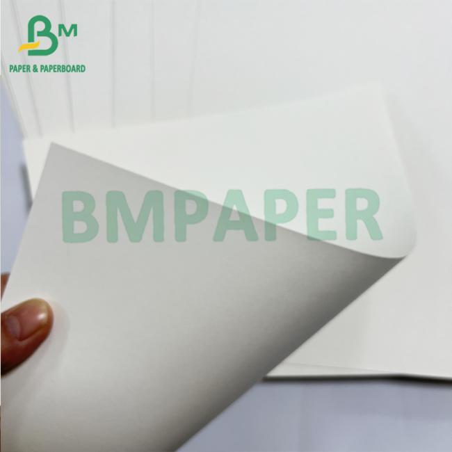 Noddles Bowl 225gsm Waterproof PE Coated Coffee Cup Paper Roll