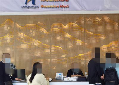 China Onregelmatig Gat Geperforeerd Metaal Mesh Sheet Privacy Screen Airports Te koop