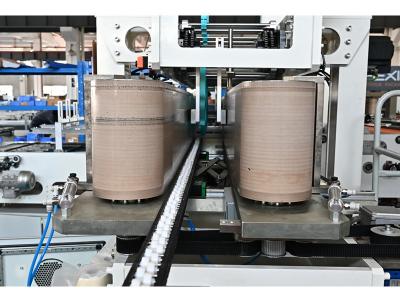 Cina Pacco che imballa 50mic 50packs/Min Toilet Paper Roll Machine in vendita