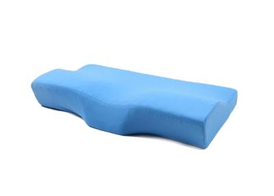 Chine Oreiller de ronflement de mousse de mémoire de polyester d'environnement anti grand, bleu à vendre