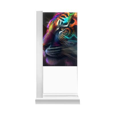 Quality White 65 Inch Transparent OLED Display Commercial Use Translucent OLED for sale