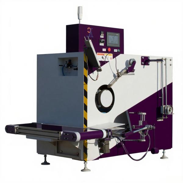 Quality Stable Efficient Automatic PP Motor Coil Winding Precision PLC Control Machinery for sale