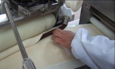 China 3 van de het Broodjesmachine van de fasestoom het Automatische Bestrooiende Systeem ISO/Ce/SGS Te koop