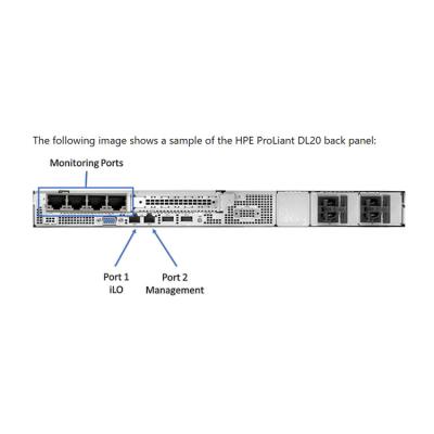Private Mold Yes HPE ProLiant DL20 Gen10 server Intel Xeon E-2224 16G 1T*2 Rack