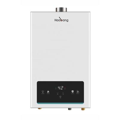 China Wall-mounted Flue Gas Water Heater with Electric and Gas Power Touch Panel Control and 220V Voltage for sale